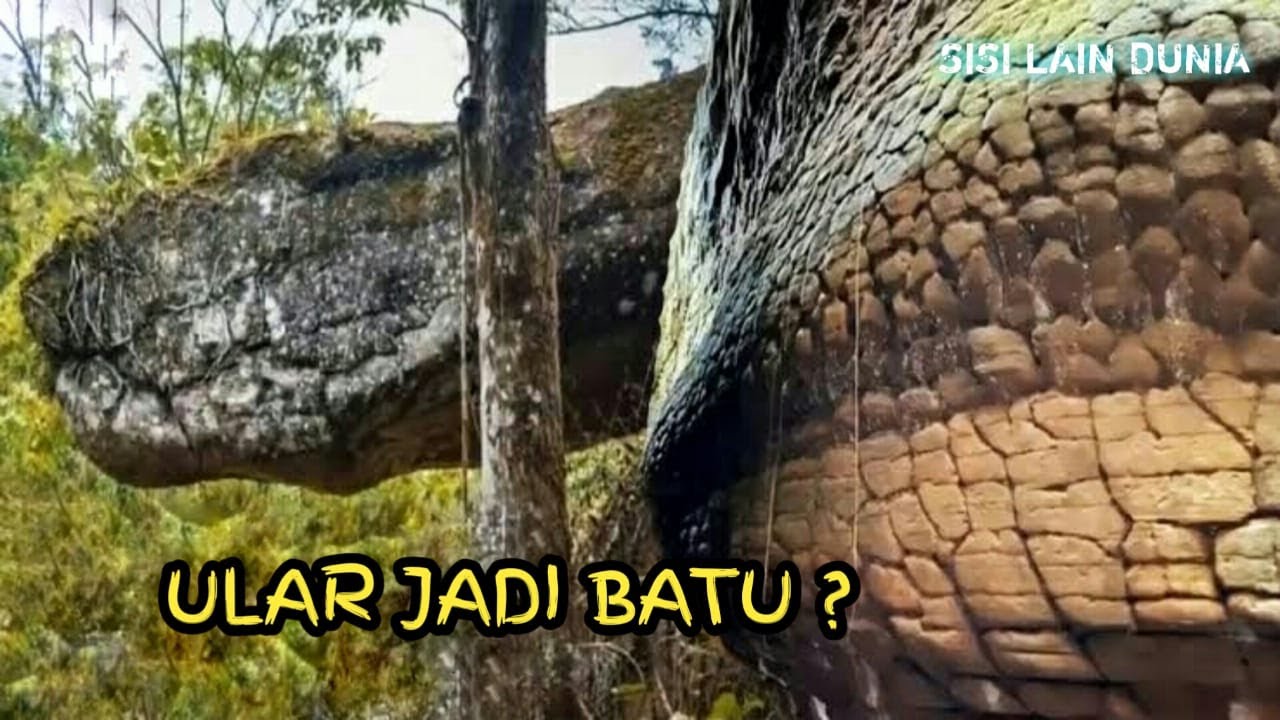 HEBOH ! Penemuan Batu Mirip Ular Raksasa di Thailand - YouTube