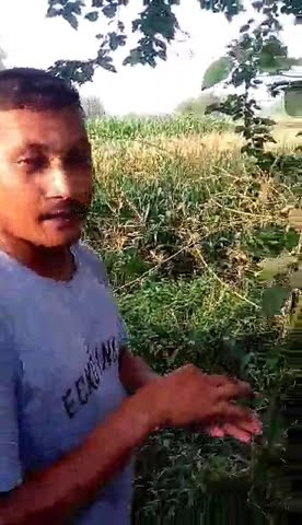 #apurbo_dance_king #february17 #streetfood - YouTube