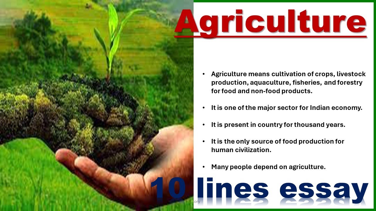Agriculture || 10 lines on Agriculture || 10 lines essay on Agriculture ...