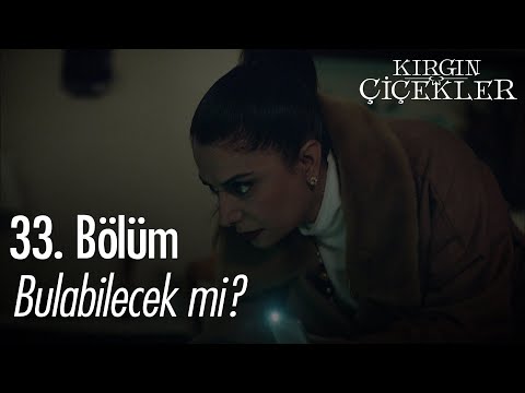 Nazan CD'yi arıyor! - Kırgın Çiçekler 33. Bölüm