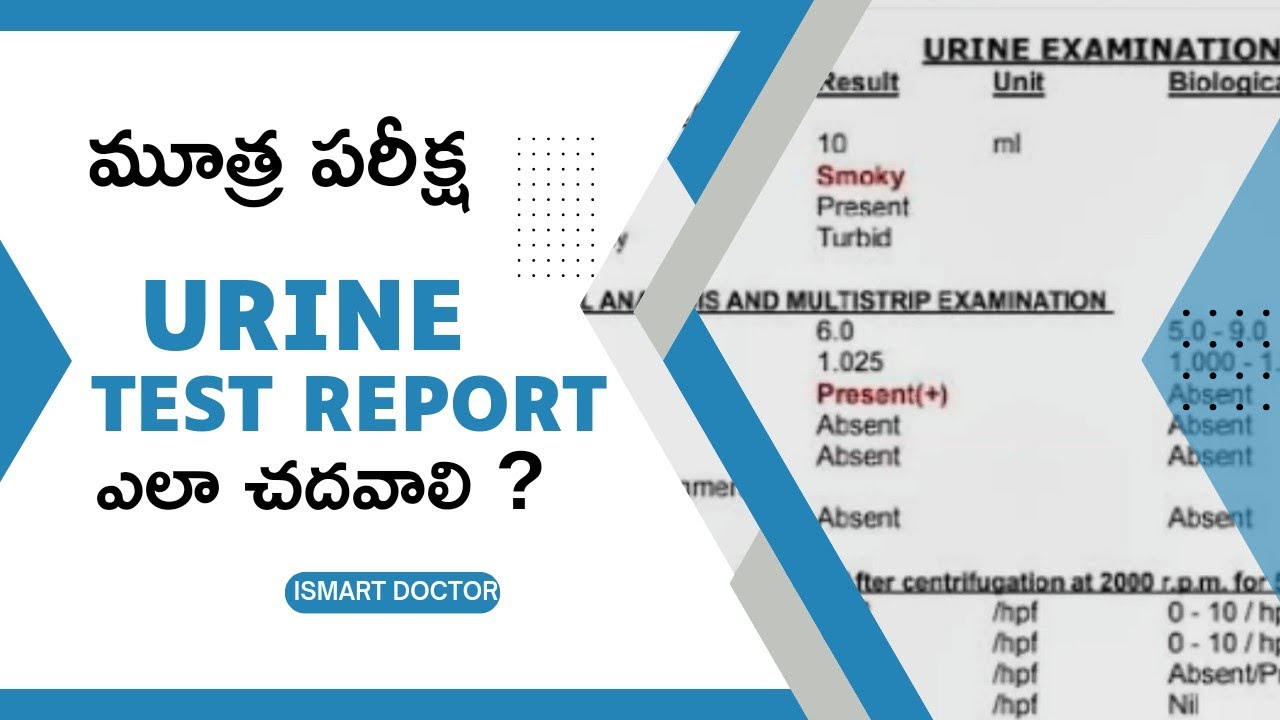 Urine Test Report ని ఎలా చదవాలి? - YouTube