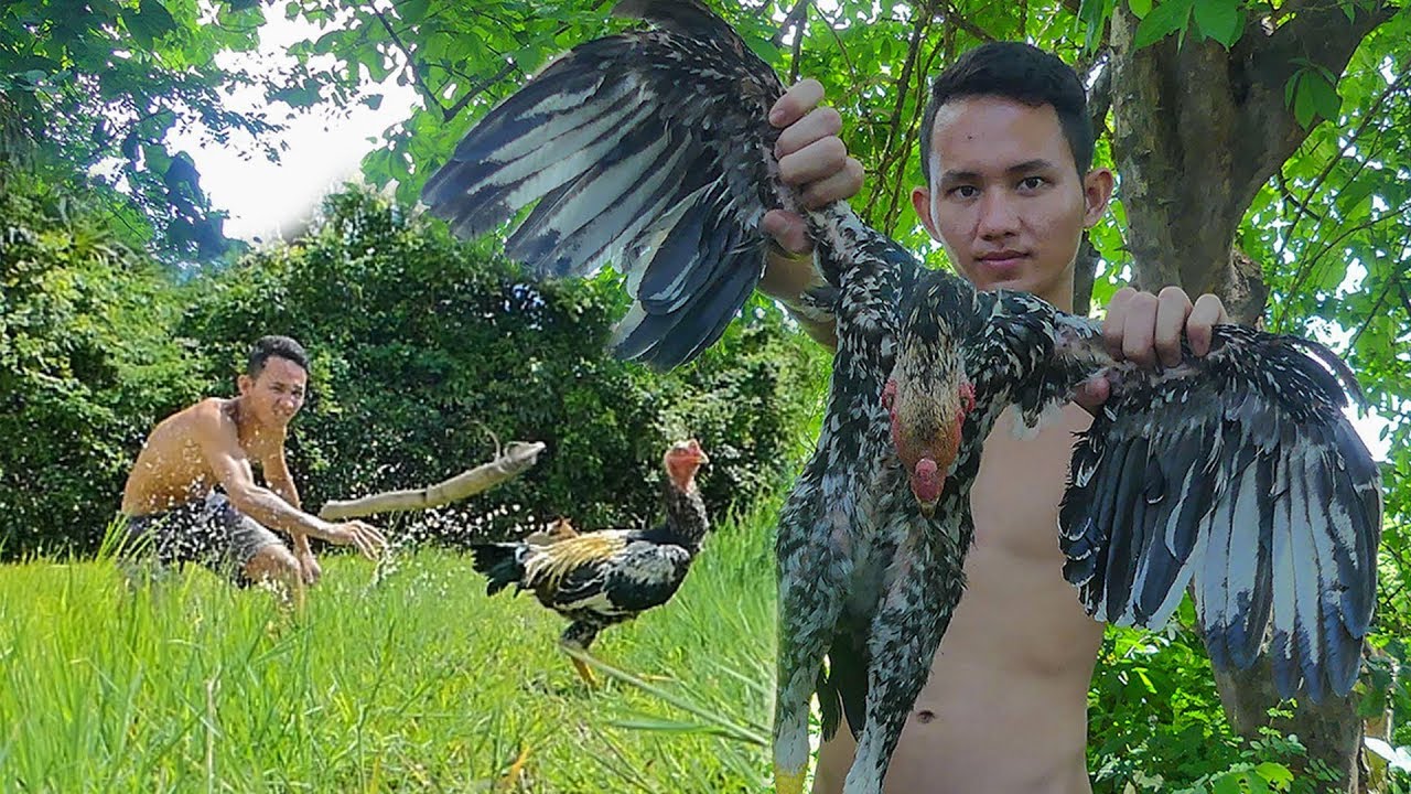 Primitive Technology: Hunting Chicken by Spear and Cooking For Food ...
