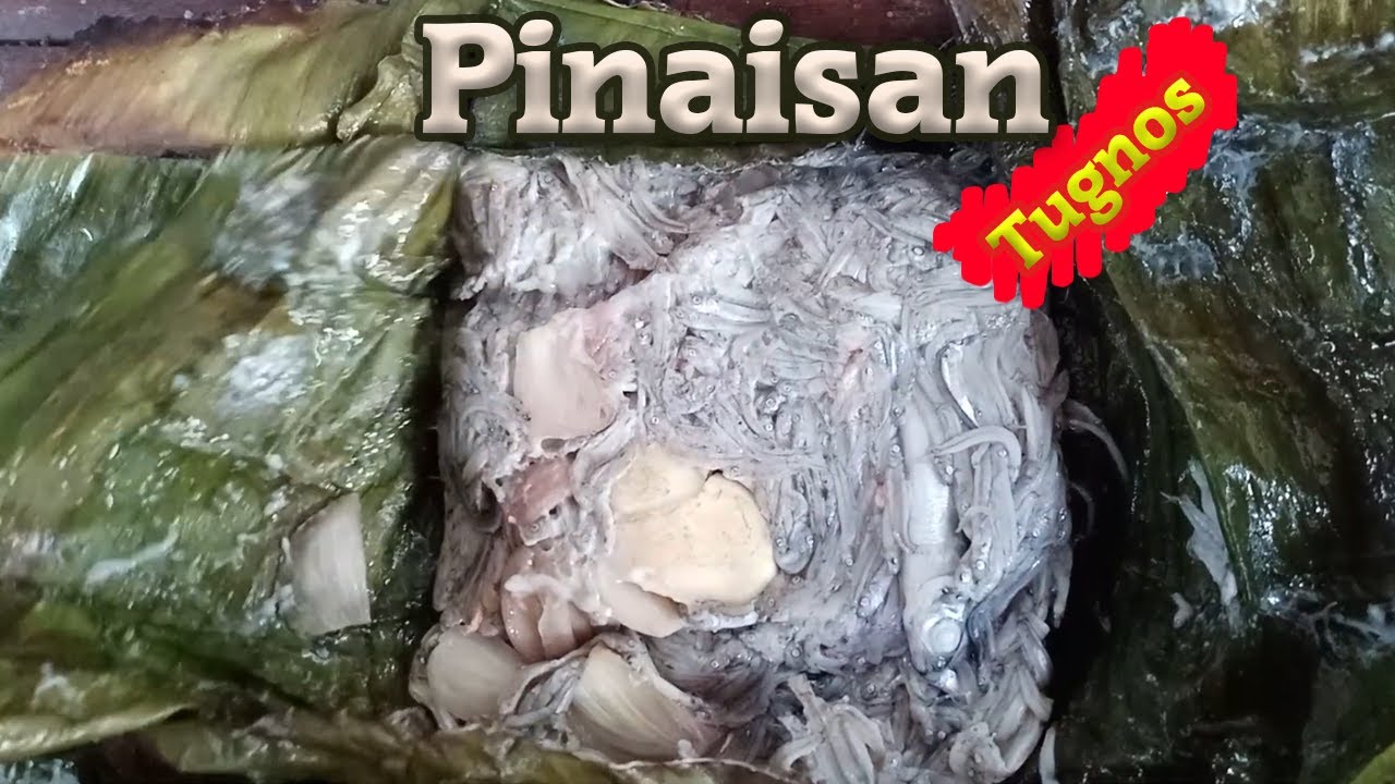 PINAISAN ISDA (TUGNOS) DODOYS BLOG - YouTube