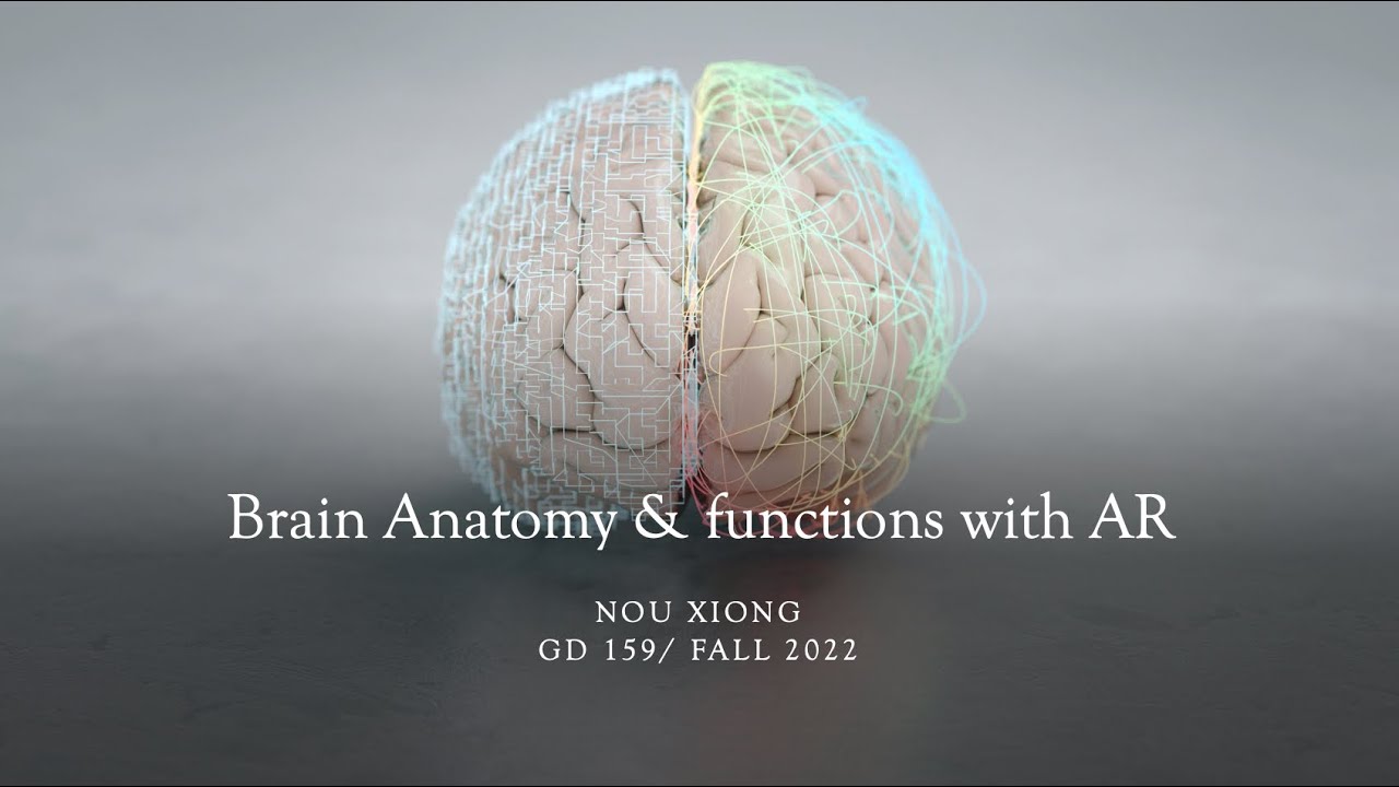 Brain Anatomy and Functions with AR #gd159 - YouTube