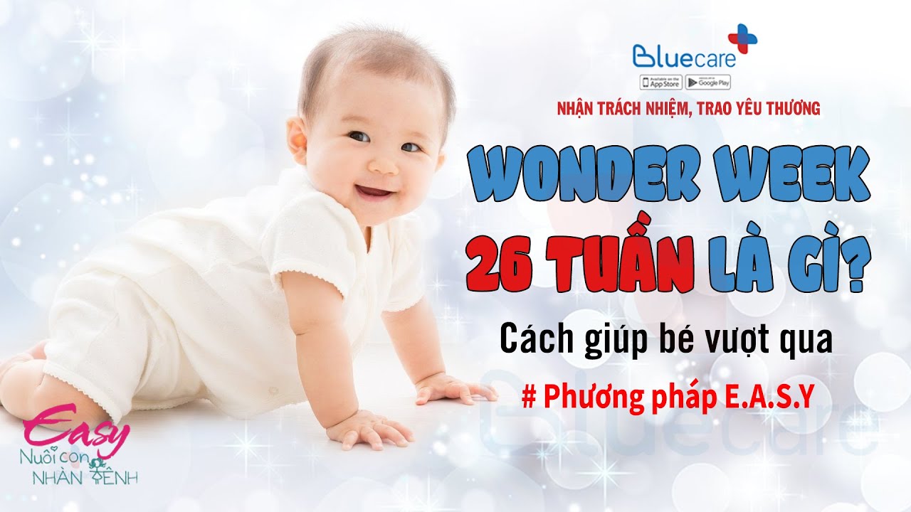 [WW26] Wonder week 26 tuần ở trẻ và những điều bạn cần biết | Easy Nuôi ...