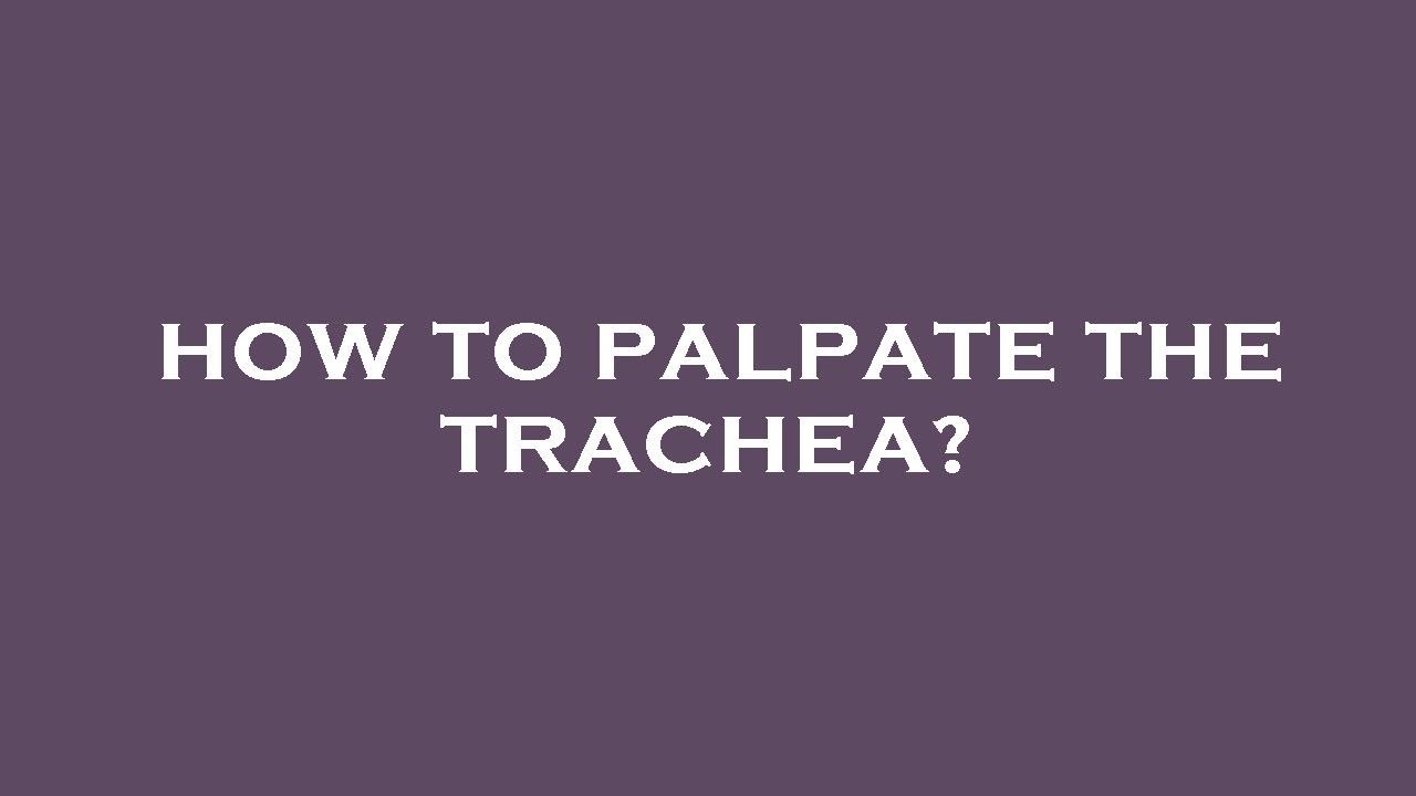 How to palpate the trachea? - YouTube