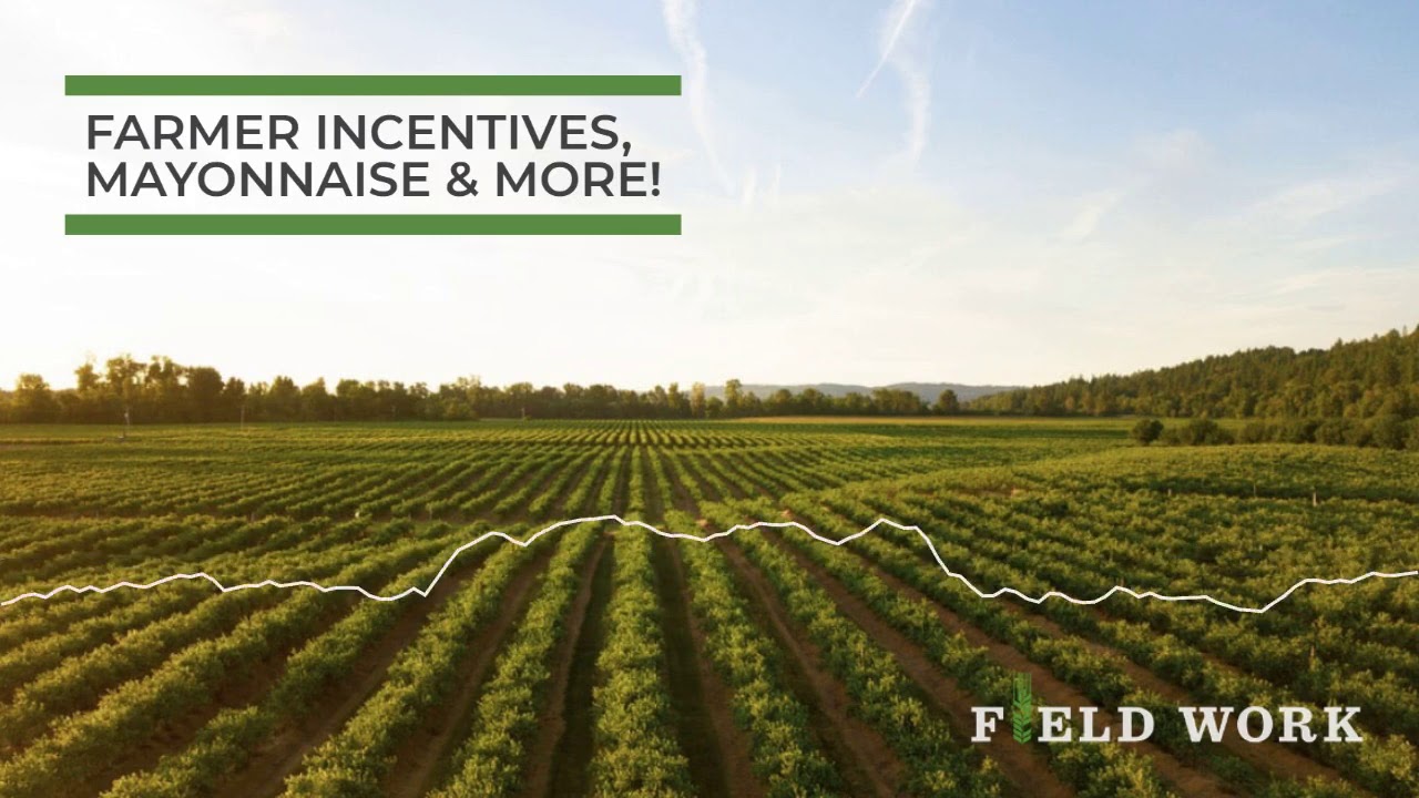Farmer Incentives, Mayonnaise and More! - YouTube