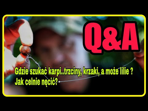 QA #17 - Gdzie szukać karpi , trzciny, krzaki, a może lilie ? Jak nęcić celnie ?
