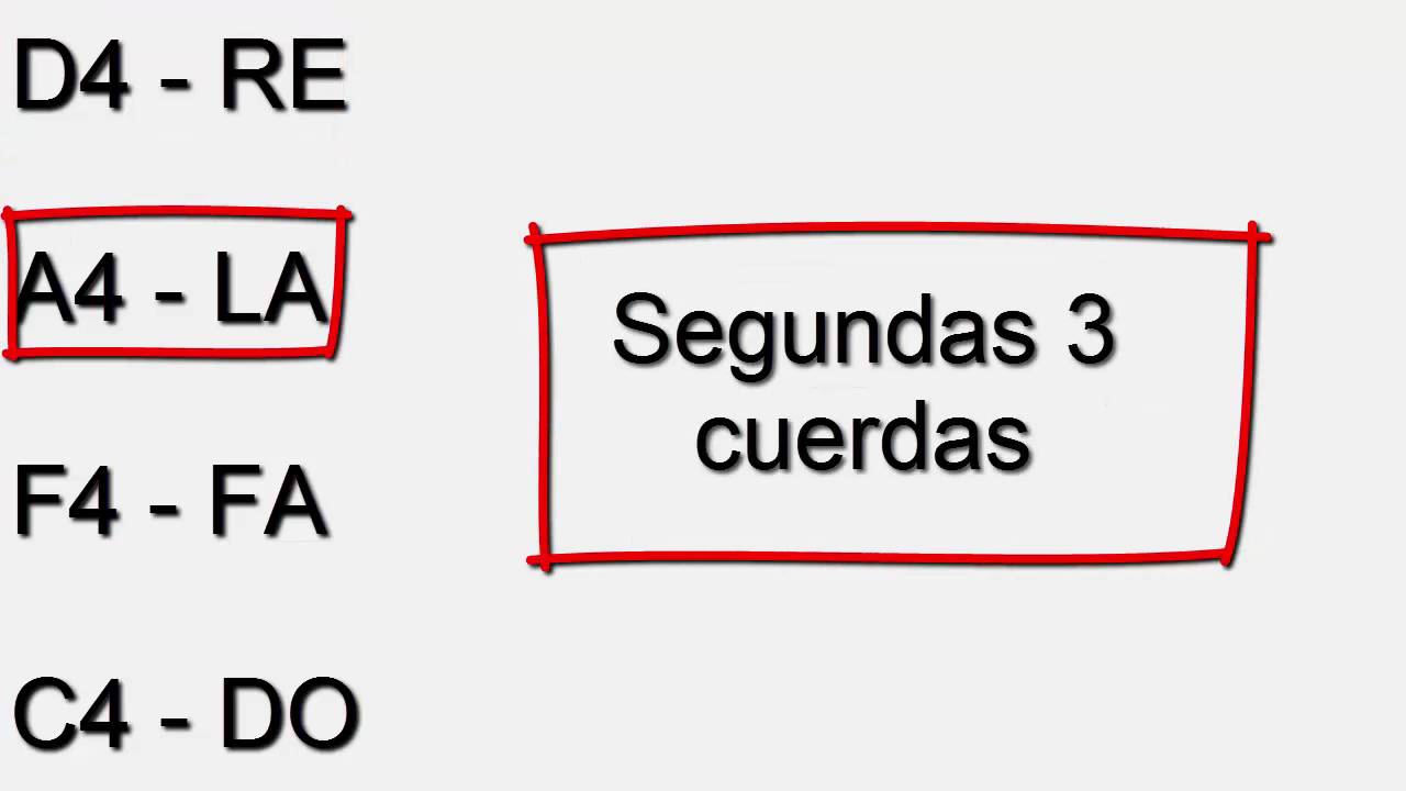 Afinación Tiple Requinto en RE - D - YouTube