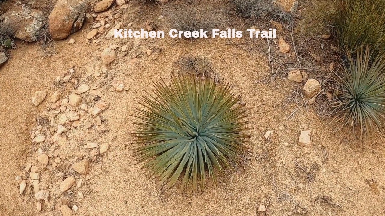 Hiking in San Diego: Kitchen Creek Falls Trail - YouTube