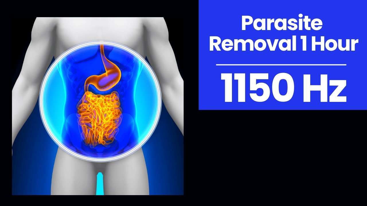 1150 Hz Frequency for Parasite Cleansing | Rife Frequency for Total ...