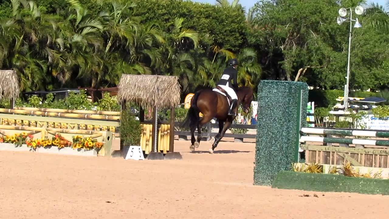 Hannah Wally USEF Medal WEF 7 2013 - YouTube