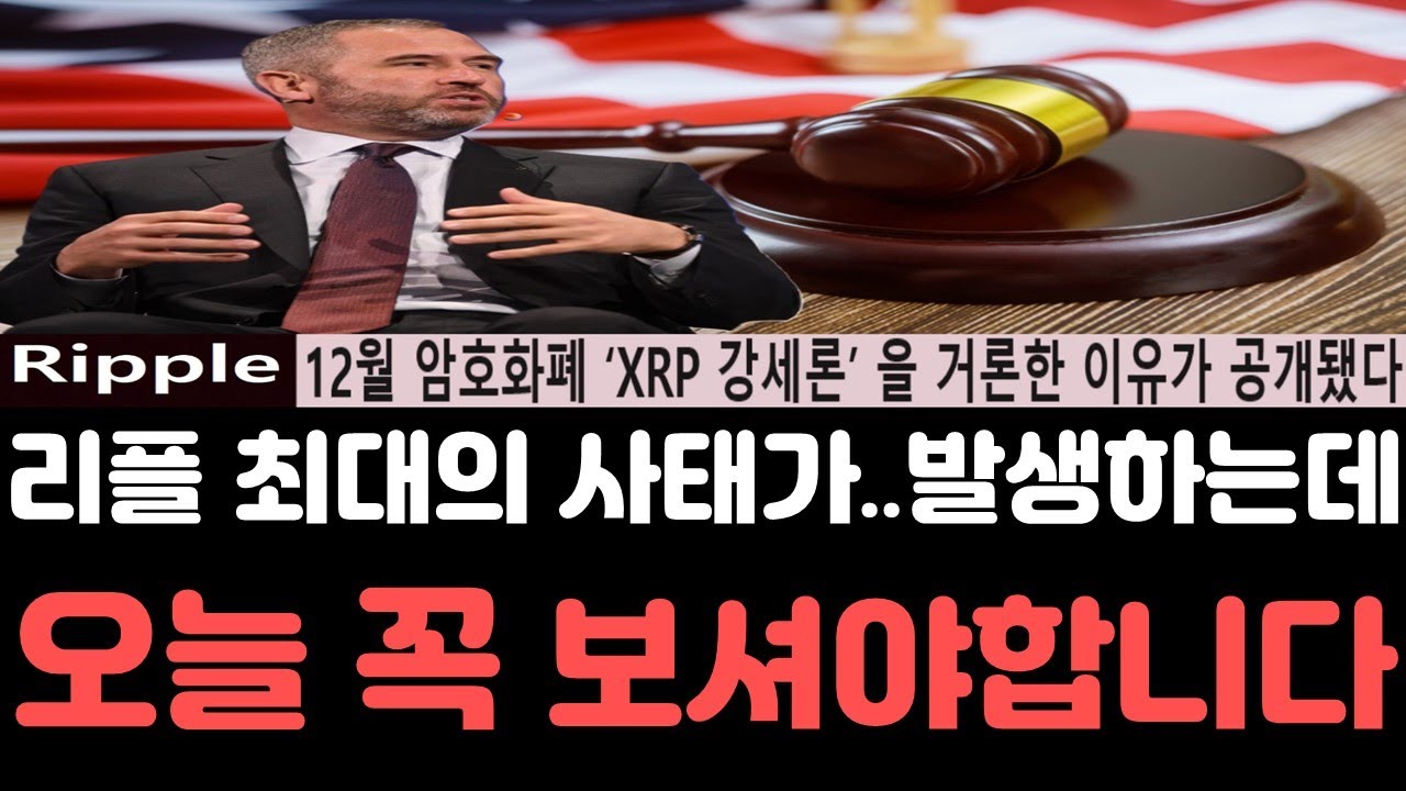 리플전망 리플 Xrp 초유의 사태가 발생한다 12월 코인시장의 붐이 찾아오나 오늘 영상은 꼭 보셔야합니다 리플전망 리플호재 리플급등 리플코인 리플소송