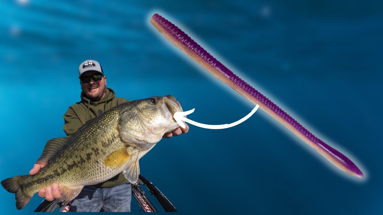 EVERYTHING You Need To Know About FINESSE WORMS To Start Catching BASS ...