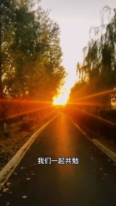 成功励志语录：成长是一段独自奋斗的旅程，也是一段修行 感情 正能量 分享 人生感悟 情感 熱門 推薦 投資 Youtube