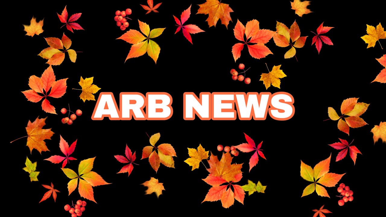 ARB NEWS Wed. 11/2/22 - YouTube