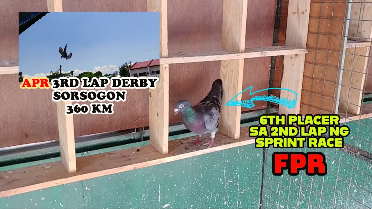 APR 3RD LAP DERBY | FPR 2ND LAP SPRINT RACE - YouTube