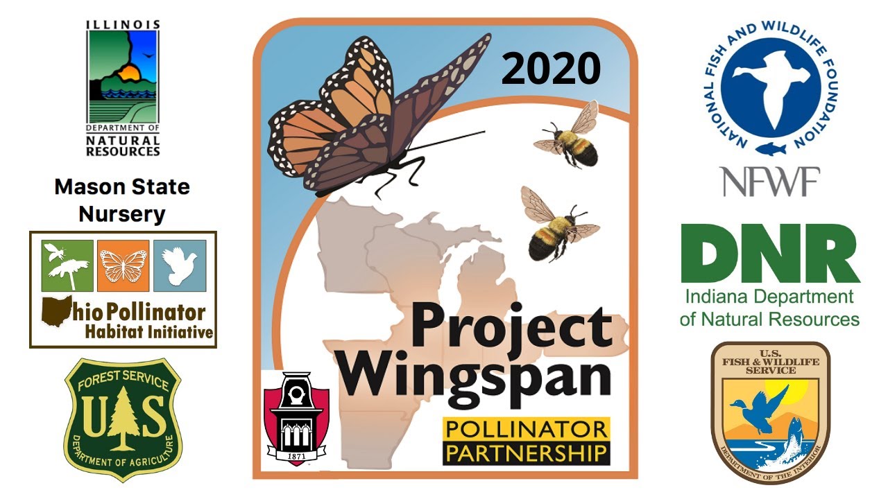 Project Wingspan - Pollinator Partnership Seed Collector 2019 - 2020 ...