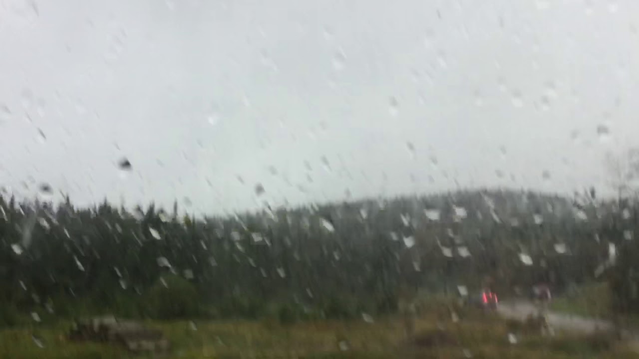 Really stormy and windy in Canada wind hit a tree - YouTube