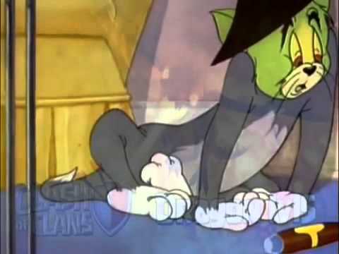 Tom and Jerry   037   Professor Tom 1948
