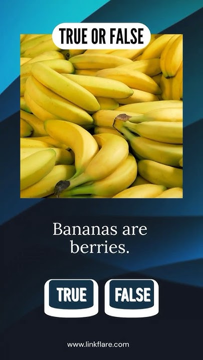 True or False? BANANAS ARE BERRIES. #familyfun #knowledge #quiz - YouTube