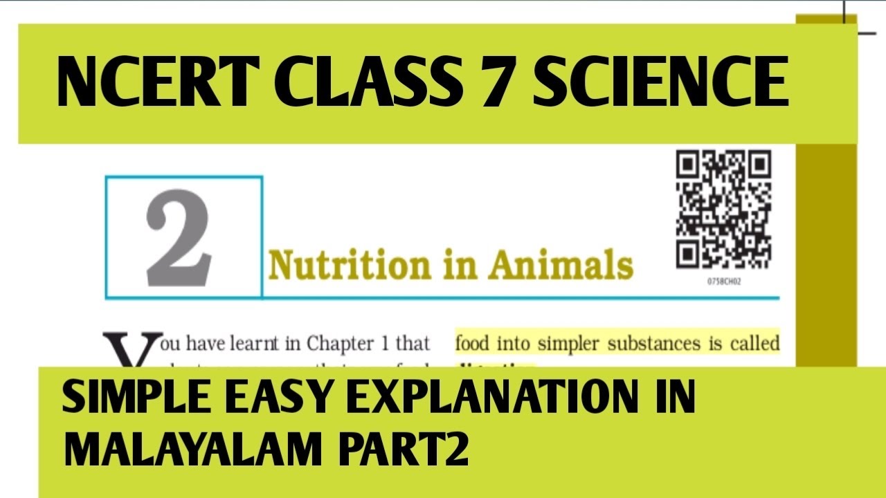 NCERT CLASS 7|SCIENCE |CHAPTER 2 |NUTRITION IN ANIMALS PART 2|EASY ...