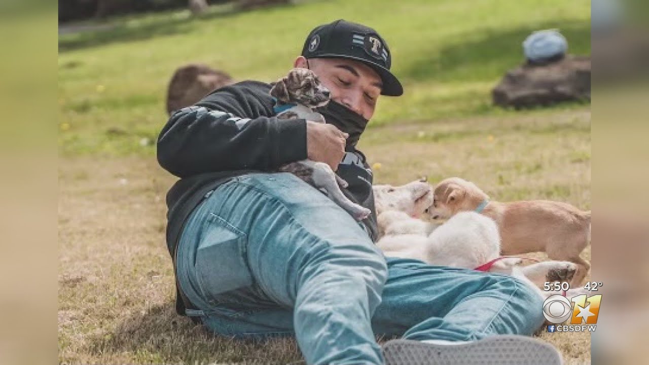 Saving Hope Animal Rescue Finding Homes For Abandoned and Neglected ...