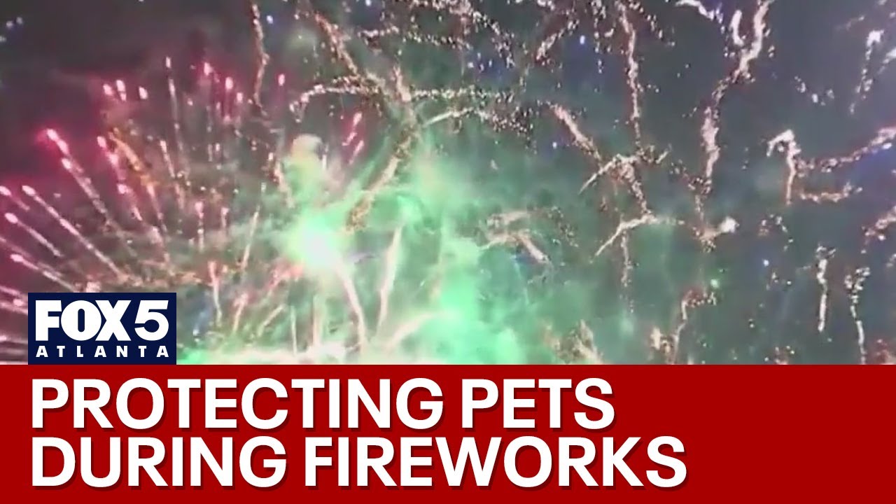 Pets and fireworks do not mix: Tip to help prepare | FOX 5 News - YouTube