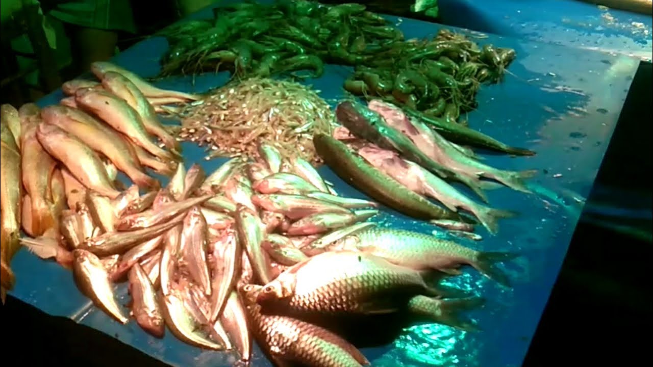 Amazing Village Fish Market - YouTube