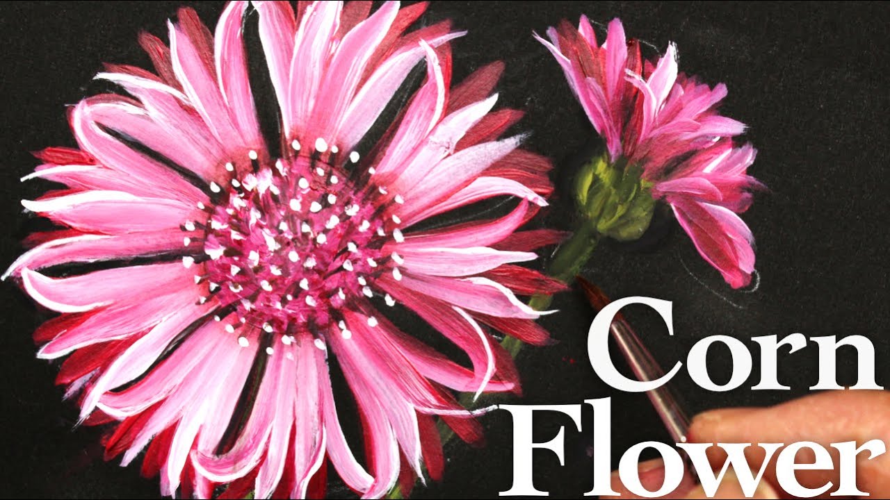 Flower painting tutorial | Cornflower with acrylic ( in 4 Minutes ...
