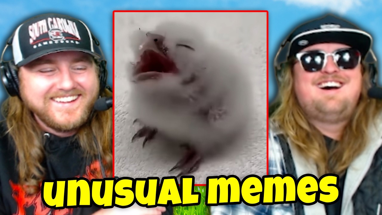UNUSUAL MEMES FROM 11TH GRADE - YouTube