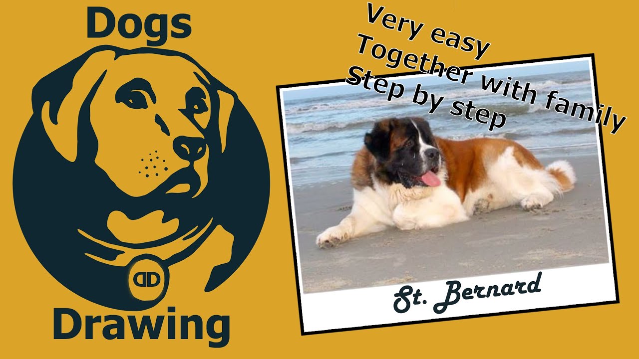 St Bernard. How easy to draw a dogs. @YcanRPT - YouTube