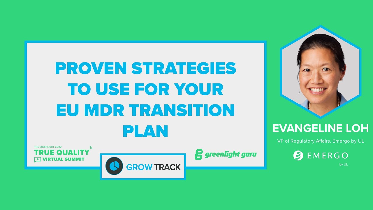 How to Prioritize Documentation for MDR Transition Planning - YouTube