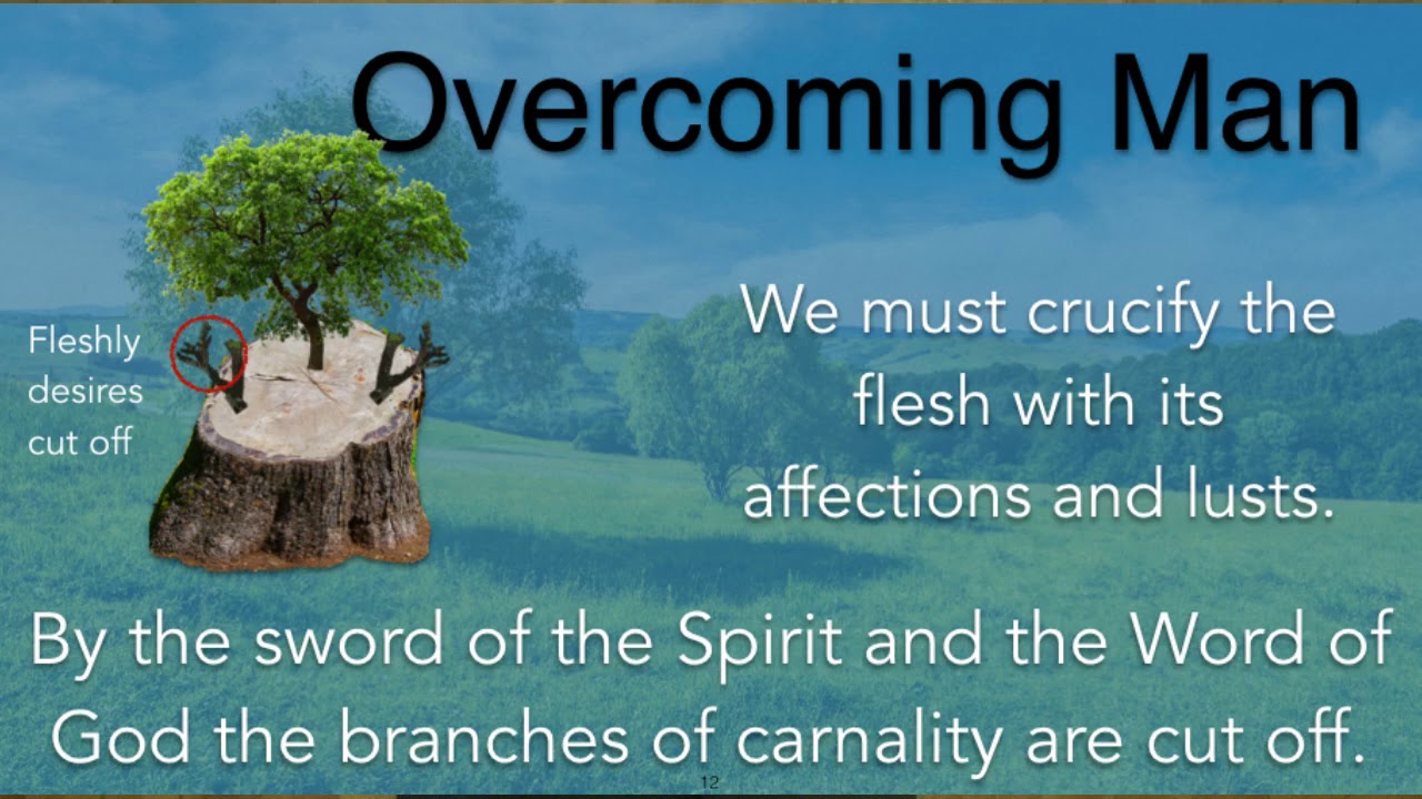 You Can Overcome Sin. How to Overcome Sin? Apostle Paul "I Die Daily ...