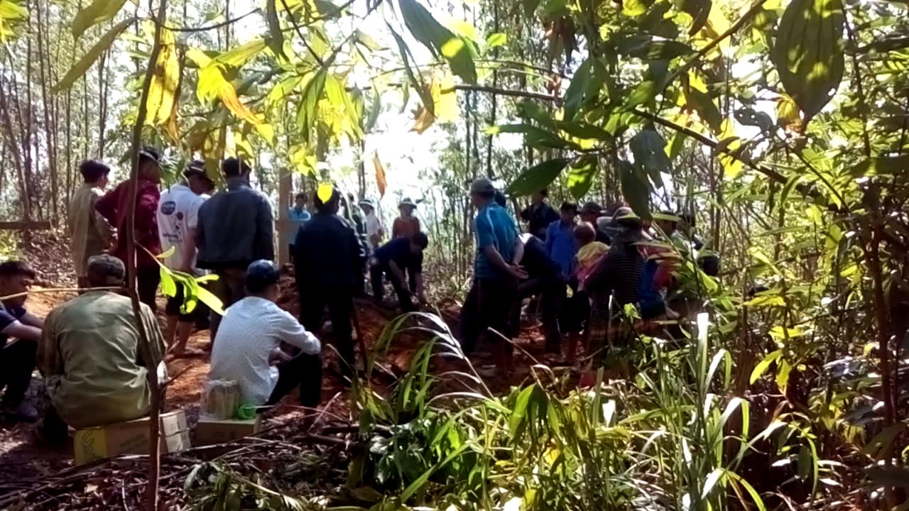 Tib neeg tuag(5) - YouTube