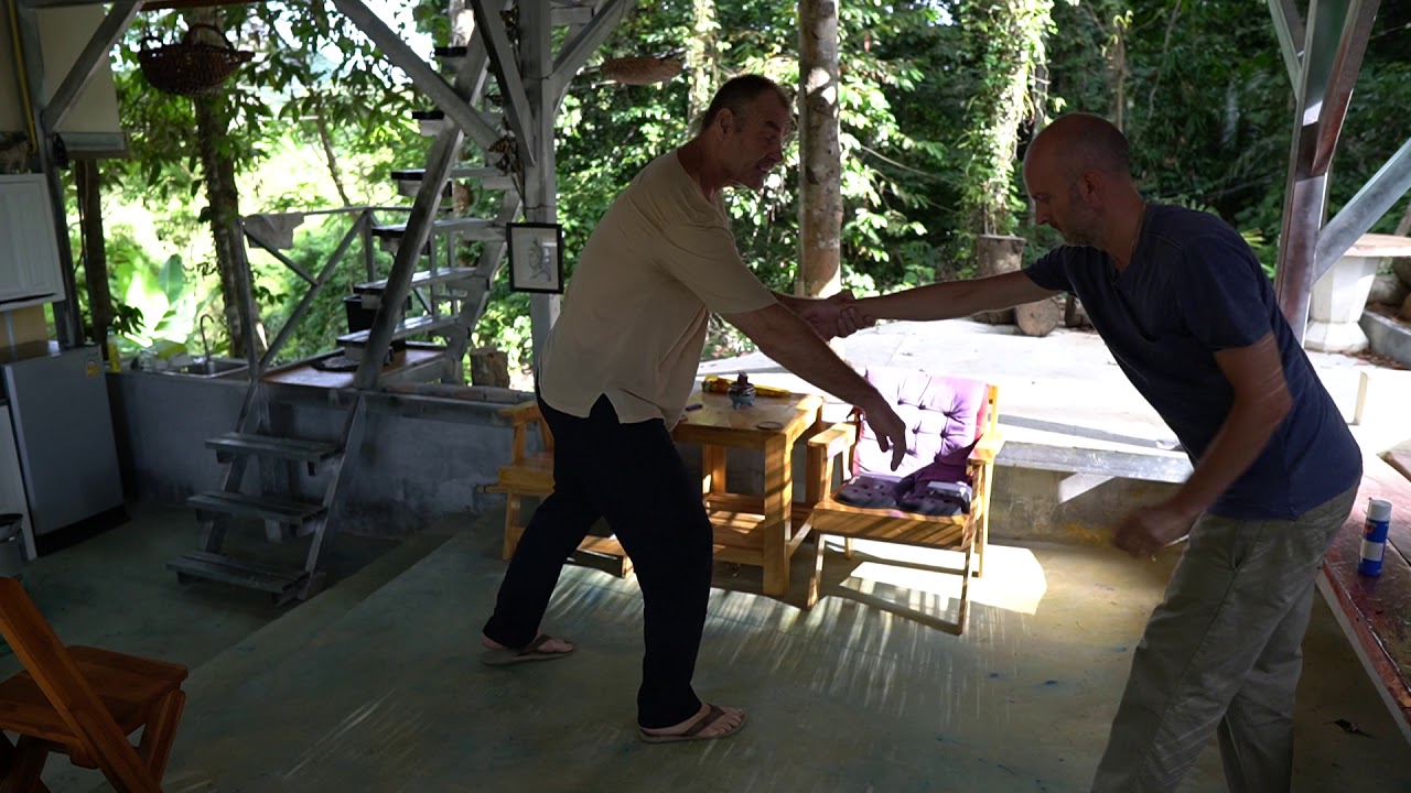Shoulder stroke pt 3 of 8 | Tai Chi | Elastic Force Chi Kung - YouTube