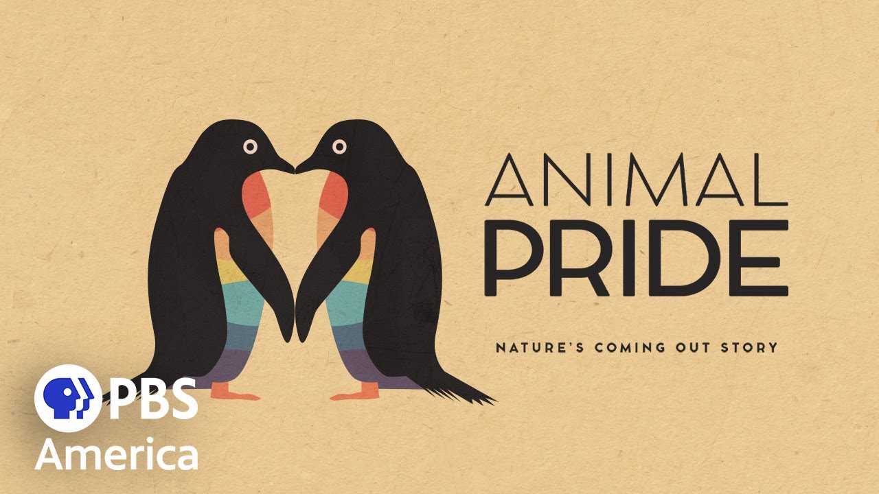 Animal Pride (2025) | Full Documentary - YouTube