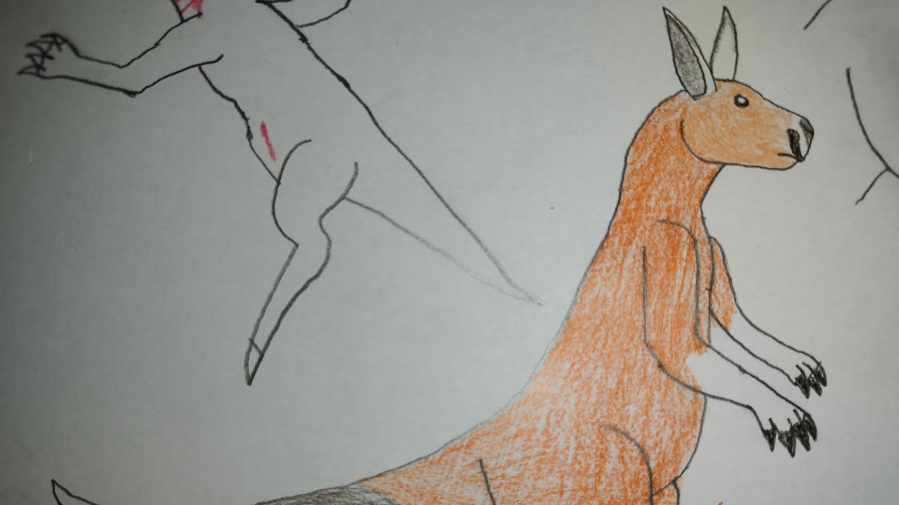 Sound Effects-Red Kangaroo - YouTube