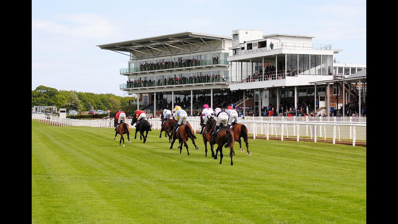 JUDGE WINS HH V THE JUDGE WITH PYRAMID PLACE WINNING AT WETHERBY GIVEN ...