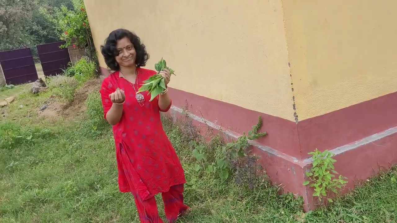 দীর্ঘকালীন কফ ও পুরানো কাশি,সর্দির অব্যর্থ ওষুধ বাসকপাতার সিরাপ | Basak ...