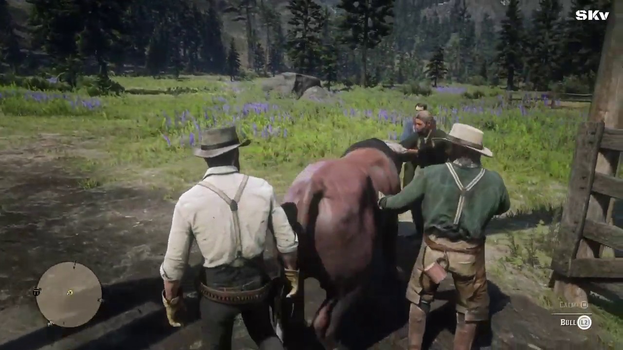Red Dead Redemption 2 : Catch The Bull - YouTube