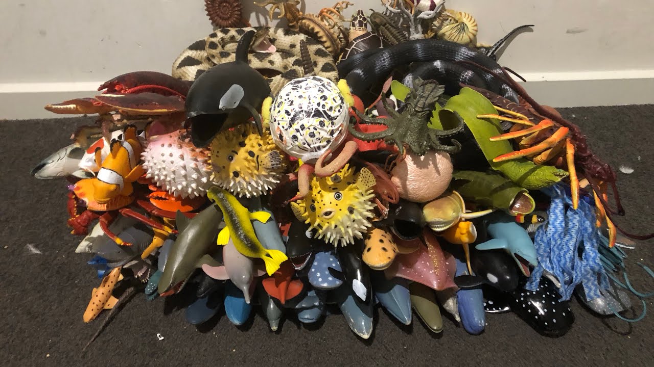 My mega pile of sea animals - crustaceans cephalopods fish birds whales ...