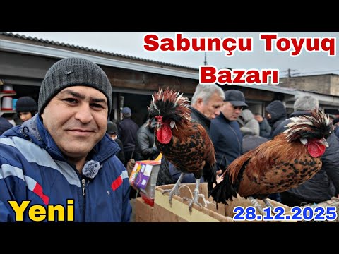 Sabunçu Toyuq Bazarı 28 dekabr 2025 @mubarizemintv2271 
