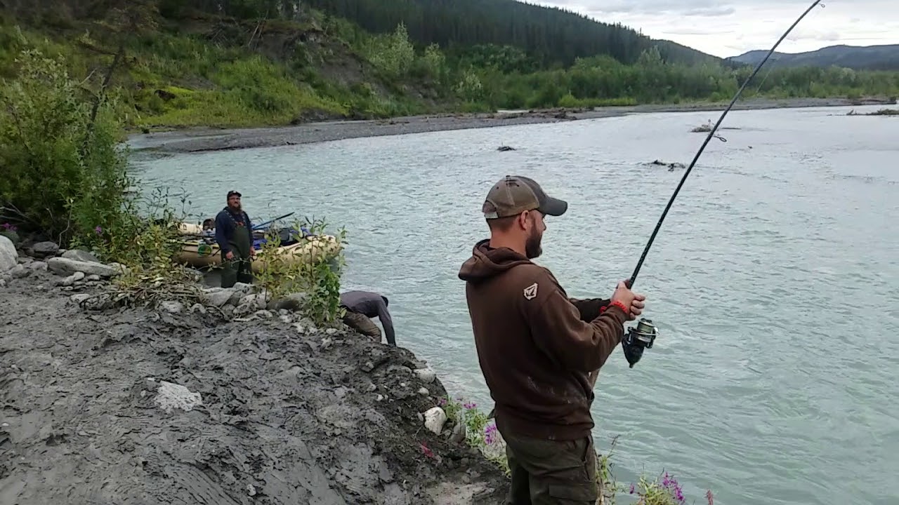 King fishing on the Klutina - YouTube
