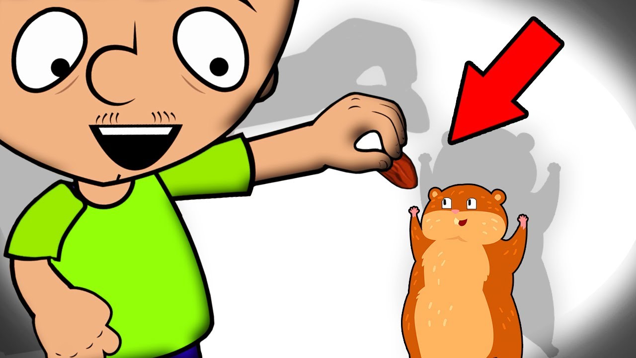 Easy Things To Teach Your Hamster YouTube easy-things-to-teach-your-hamster-youtube