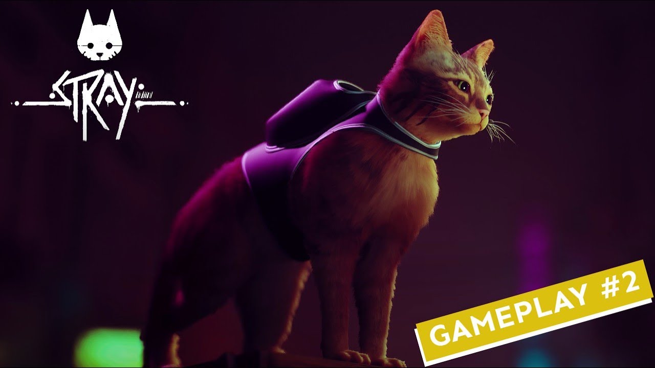 MAIN KEJAR KEJARAN SAMA ZURK - STRAY #2 - YouTube