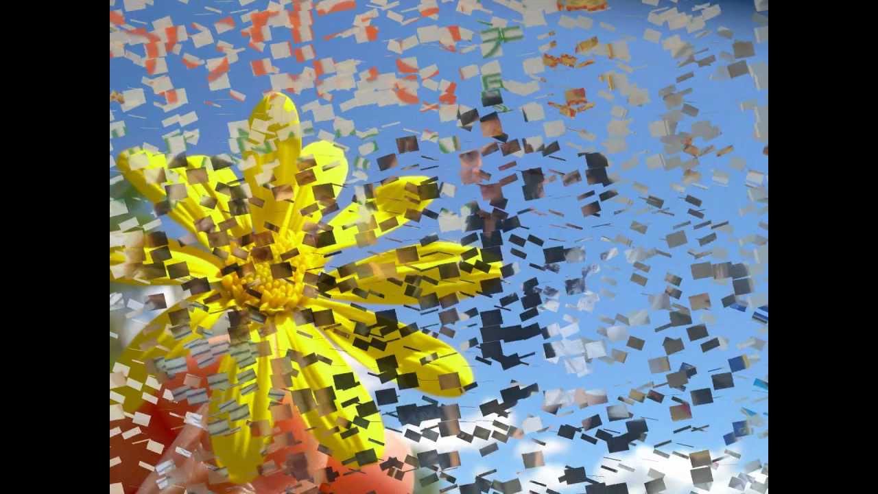 Spring College International 11 Anniversary Video - YouTube