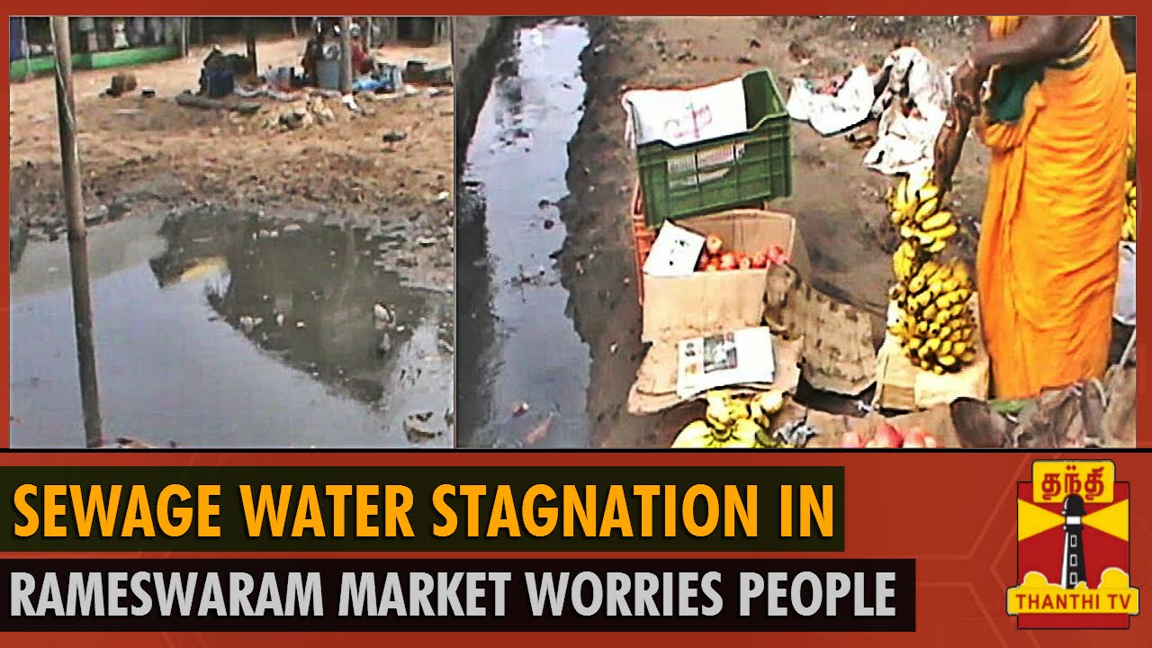 Stagnation of Sewage water in Rameswaram Market worries People ...