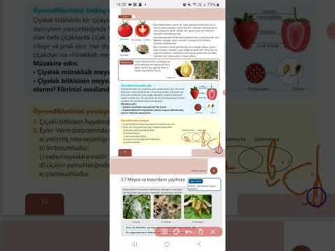 7 cı sinif biologiya (1 ci hissə) səh 72