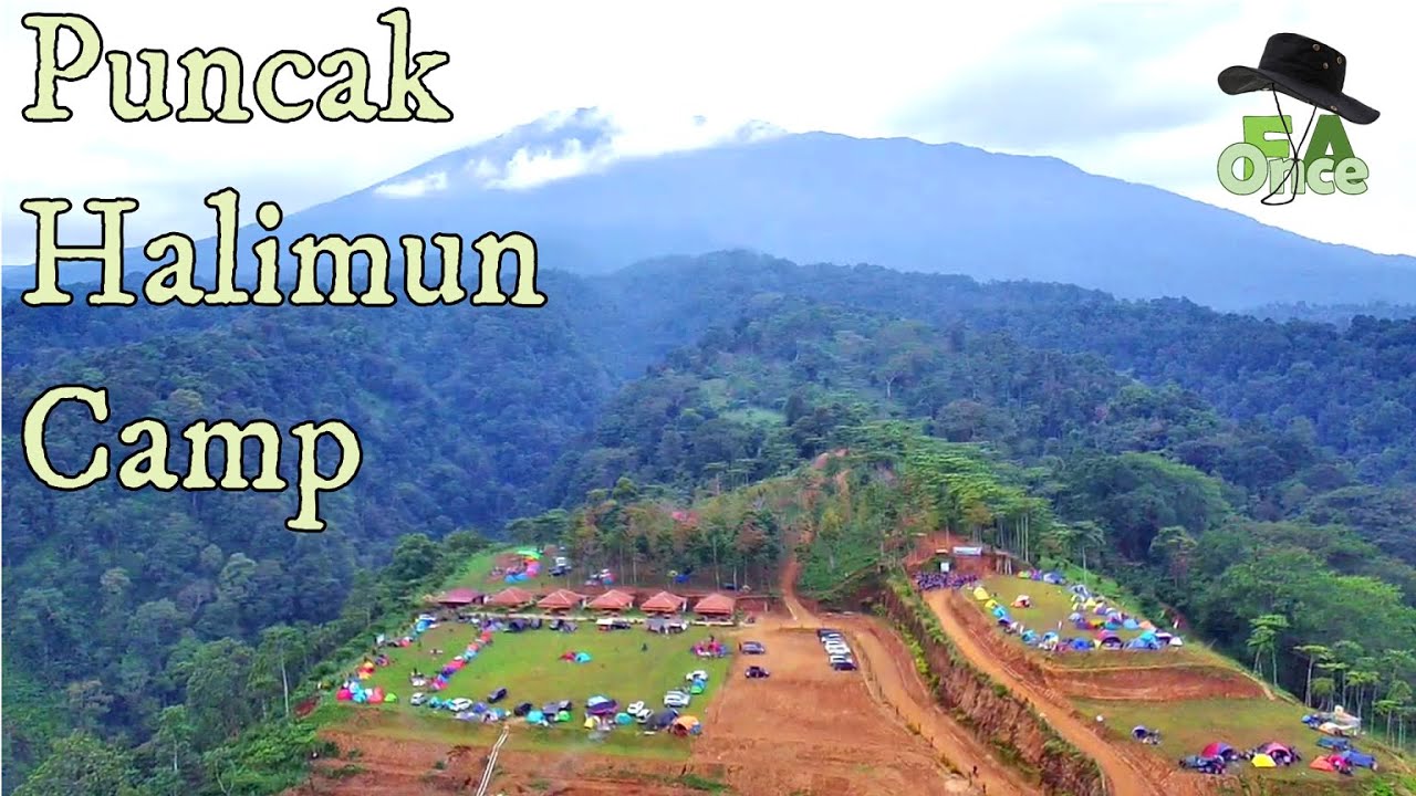 Puncak Halimun Camp, Pancawati Bogor | Camping di Lereng Gunung ...